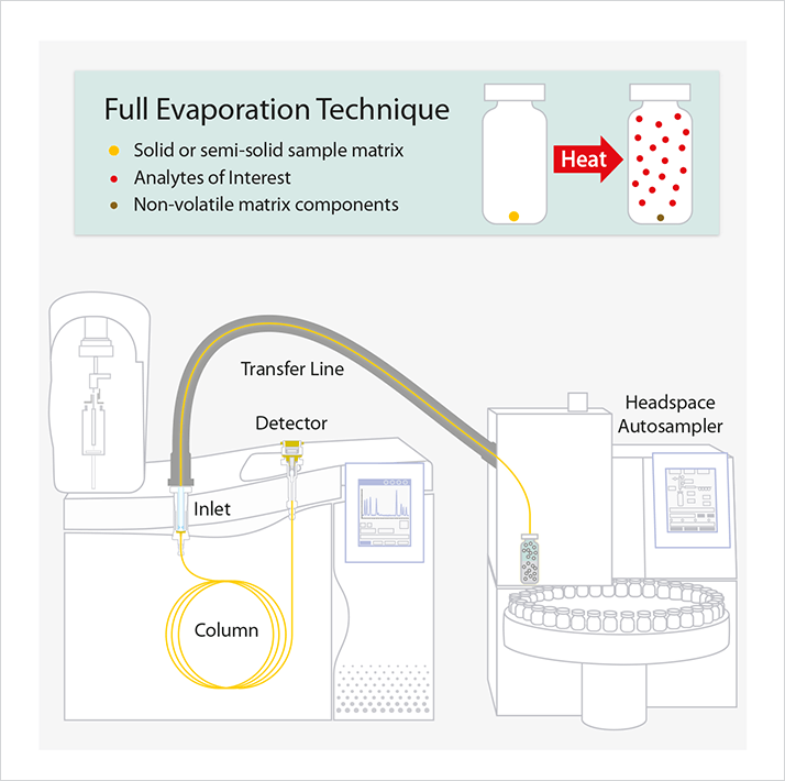 The Analytical Scientist | A Fast, Simple FET Headspace GC-FID ...